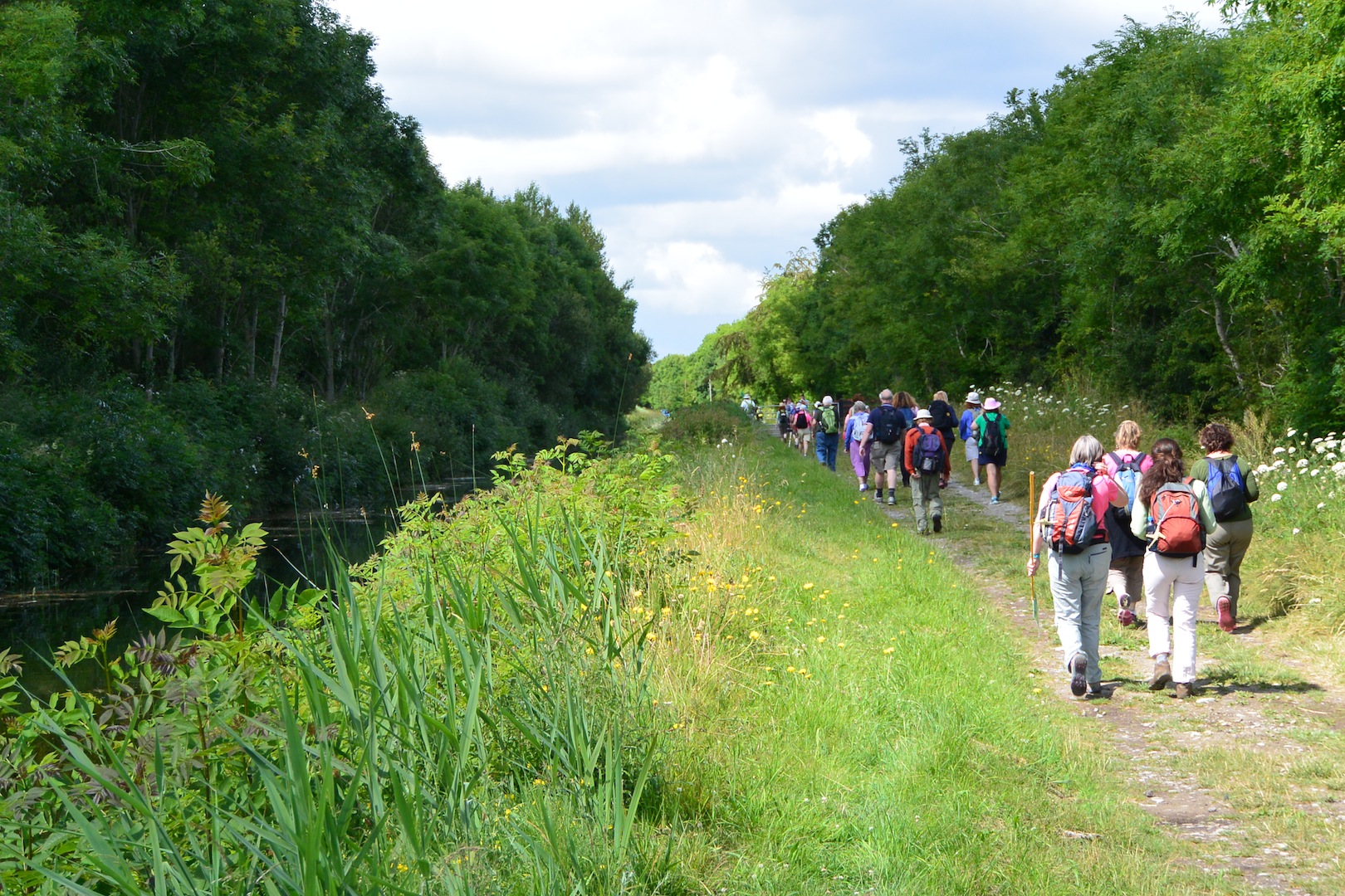 Brigid's Way walk for National Heritage week - Catholicireland ...